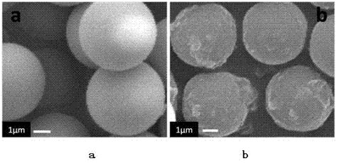 A Polymer Microsphere Eureka Patsnap
