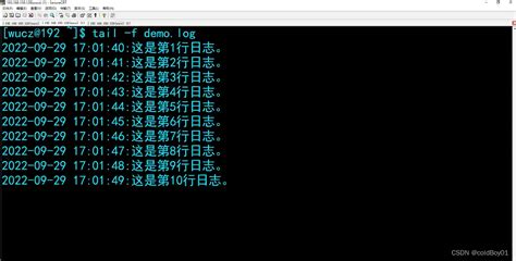 Linux 文件内容操作 Csdn博客