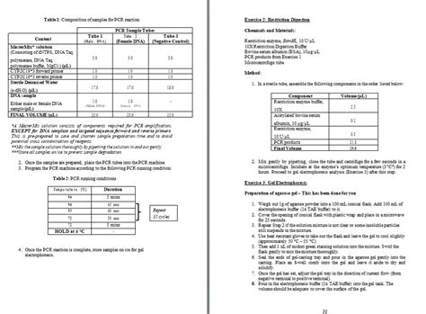 Lab Report Conclusion Template PDF Template