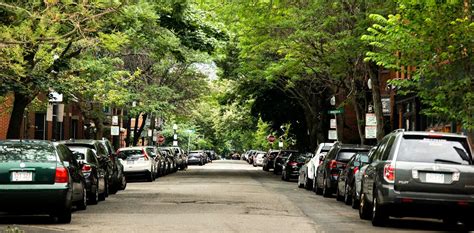 Urban Trees Vs Cool Roofs Whats The Best Way For Cities To Beat The Heat