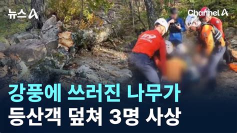 강풍에 쓰러진 나무가 등산객 덮쳐 3명 사상 채널a 뉴스a Youtube