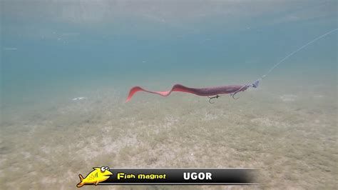 Силиконовая приманка Fish Magnet UGOR 8.5″ игра под водой - YouTube