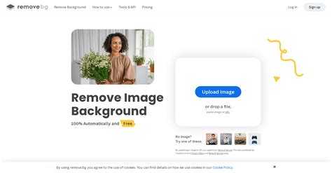 Remove Bg A Quick Review