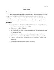 Gram Staining Lab Report Docx 1 31 20 Gram Staining Purpose Simple Staining Enables Us To
