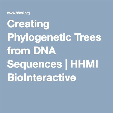 Creating Phylogenetic Trees From Dna Sequences Hhmis Biointeractive