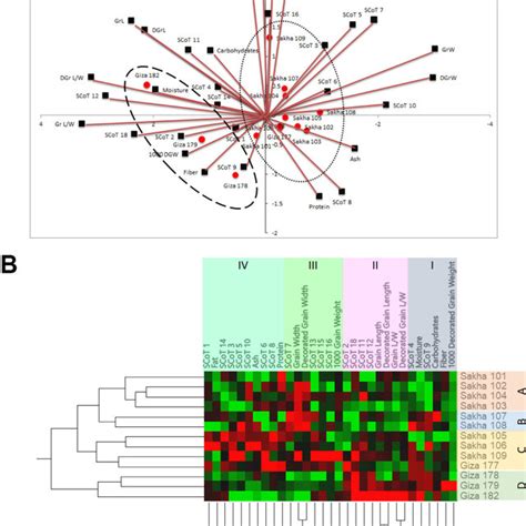 Bioplot Of Principle Component Analysis Pca And Two Way Hierarchical