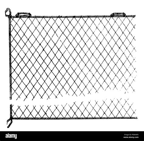 Gill Net Cut Out Stock Images And Pictures Alamy