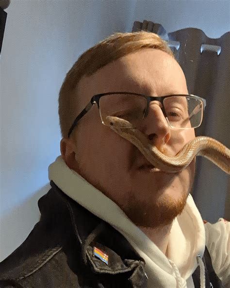 Alphy Doing What Alphy Does Rcornsnakes