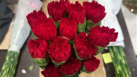 빨강 카네이션 생화 꽃집 꽃집창업 꽃값 온라인꽃시장 온라인꽃도매 인터넷꽃시장 인터넷꽃도매 서울꽃시장 꽃농장 꽃배송 생화배송 생화도매 생화택배 꽃배달 생화배달 생화주문 생화