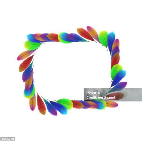 화려한 깃털입니다 사각형 프레임입니다 흰색 배경에 고립 0명에 대한 스톡 벡터 아트 및 기타 이미지 0명 개체 그룹 깃털 Istock