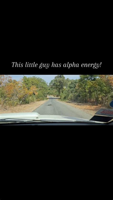 Josh Ansley Joshansleyzim • Instagram Photos And Videos