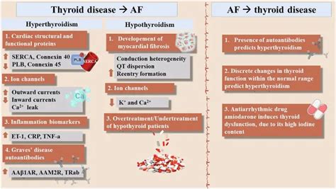 Atrial Fibrillation Prevalence Causes Clinical Symptoms Risks Stroke And Relationship