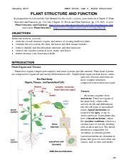 Lab 03 Plant Structure Pdf January 2017 PBIO 1210L Lab 3 Plant Structure PLANT STRUCTURE AND
