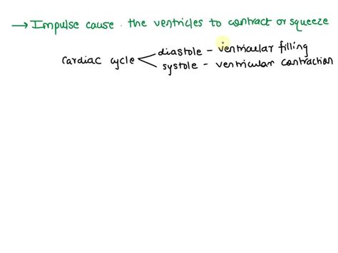 Solved Text Tachycardia Bradycardia Atrial Fibrillation Atrial Flutter What Happens To The