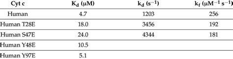 Human Phosphomimetic Mutant Kinetics Download Scientific Diagram