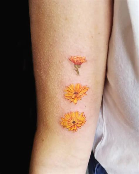 Calendula Flower Tattoo Designs