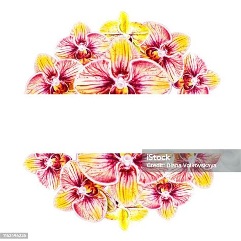 나초 꽃에서 아름다운 텍스트 프레임입니다 수채화 그림입니다 이국적인 식물 플로럴 프린트 식물 구성 결혼식과 생일 인사말 카드 0명에 대한 스톡 벡터 아트 및 기타 이미지