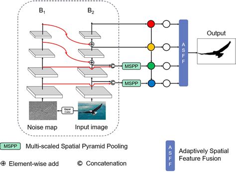 Dual‐stream Fusion And Multi‐scale Analysis Introducing The Synergistic Dual‐stream Network