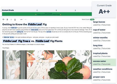 9 Content Analysis Seo Tools For Growing Your Traffic Legiit Blog