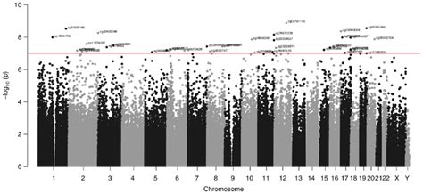 manhattan plot demonstrating the log 10 p values and their genomic