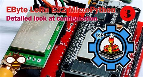 EByte LoRa E MicroPython A Detailed Look At Configuration Renzo Mischianti