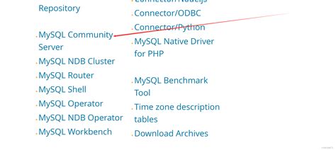 mysql8 0的下载安装与使用（图文教程、新手必备、手把手保姆级别、windows版、2023年新版） mysql8 0安装教程 csdn博客