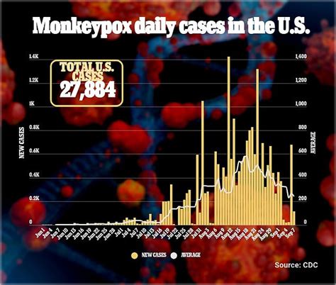 New York City Records Its First Two Monkeypox Deaths Daily Mail Online