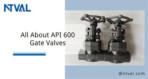 All About Api 600 Gate Valves Ntval