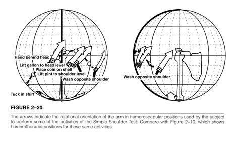 Uw Shoulder And Elbow Academy Kinematic Analysis Of Dynamic Shoulder Motion In Patients With