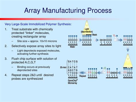Ppt Engineering A Scalable Placement Heuristic For Dna Probe Arrays