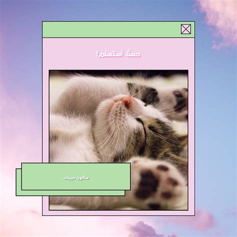 ميمز فارغة قوالب ونماذج ميمز للتحميل والتعديل مجاناً Canva