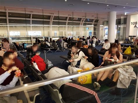 2018 도쿄 피치항공 회항 및 지연 네이버 블로그