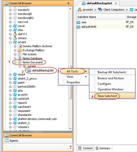 Configuration Notes Document Idataagent