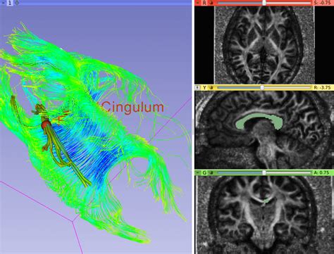 Chintanadalal Research Brain