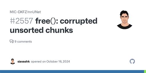 Free Corrupted Unsorted Chunks · Issue 2557 · Mic Dkfznnunet · Github