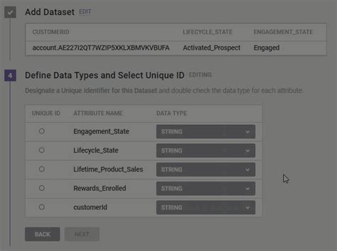 Upload A Customer Attributes Dataset Monetate Kb