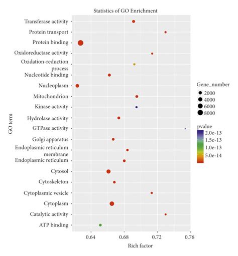Functional Analyses Of The Potential Target Genes Of The Identified
