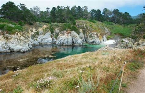 Discover The Beauty Of Monterey County Parks