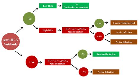 Algorithm For Hepatitis C Screening Download Scientific Diagram