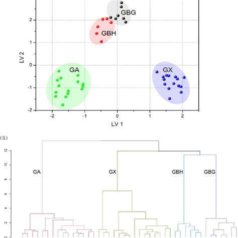 A B Score Plot Of The First Two Lvs Of Pls Da A And Hca Dendrogram