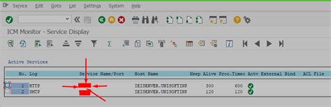 SAP BASIS MADE EASY SAP BASIS Browser As GUI