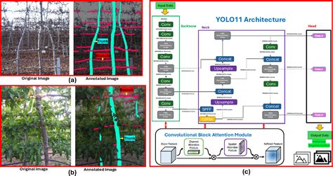 figure 4 from integrating yolo11 and convolution block attention module