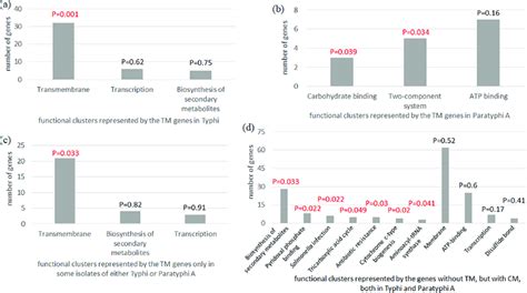 Functional Annotation Clustering And Enrichment Analysis Of A Tnm Download Scientific Diagram