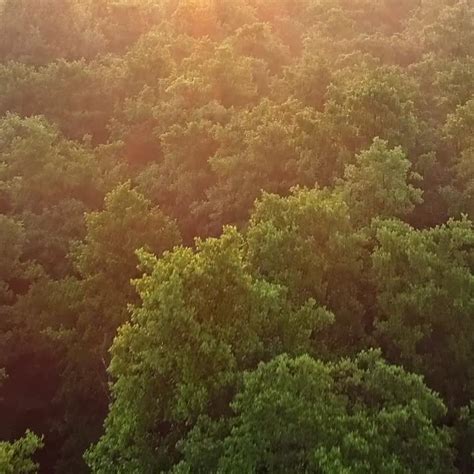 Zulhilmi S Posted On Linkedin