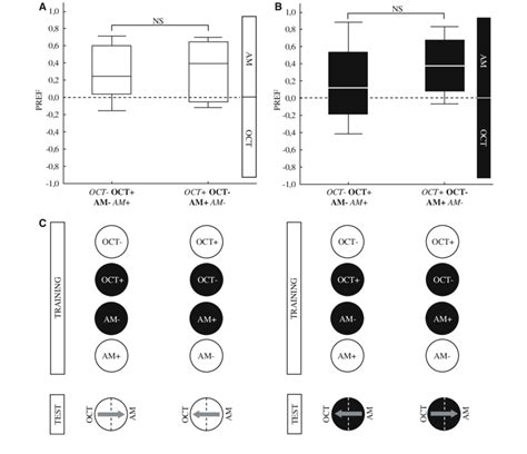Experiment 4 Which Like Experiment 1 Is A Biconditional Discrimination Download Scientific