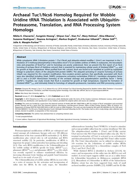 Pdf Archaeal Tuc1ncs6 Homolog Required For Wobble Uridine Trna
