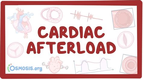 Cardiac Afterload Video Causes Meaning Osmosis