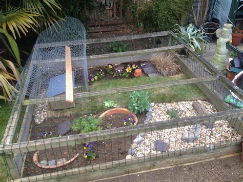 Turtle Enclosure Plans How To Make A Diy Sulcata Tortoise Enclosure
