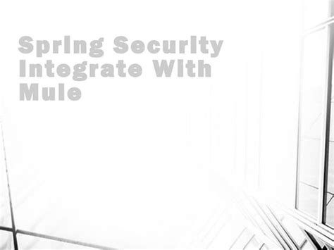 Spring Security Integrate With Mule Ppt Information And Network