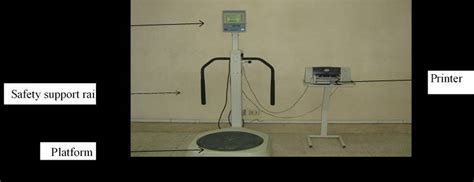 Biodex Balance System Equipment Download Scientific Diagram